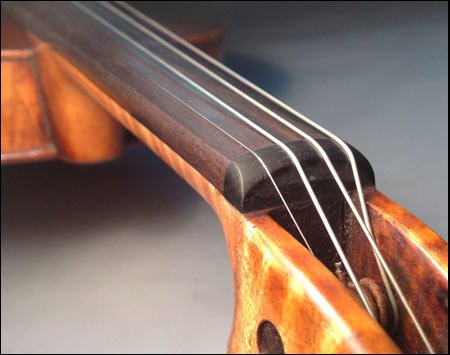 String Instrument Repair – Evergreen Workshop